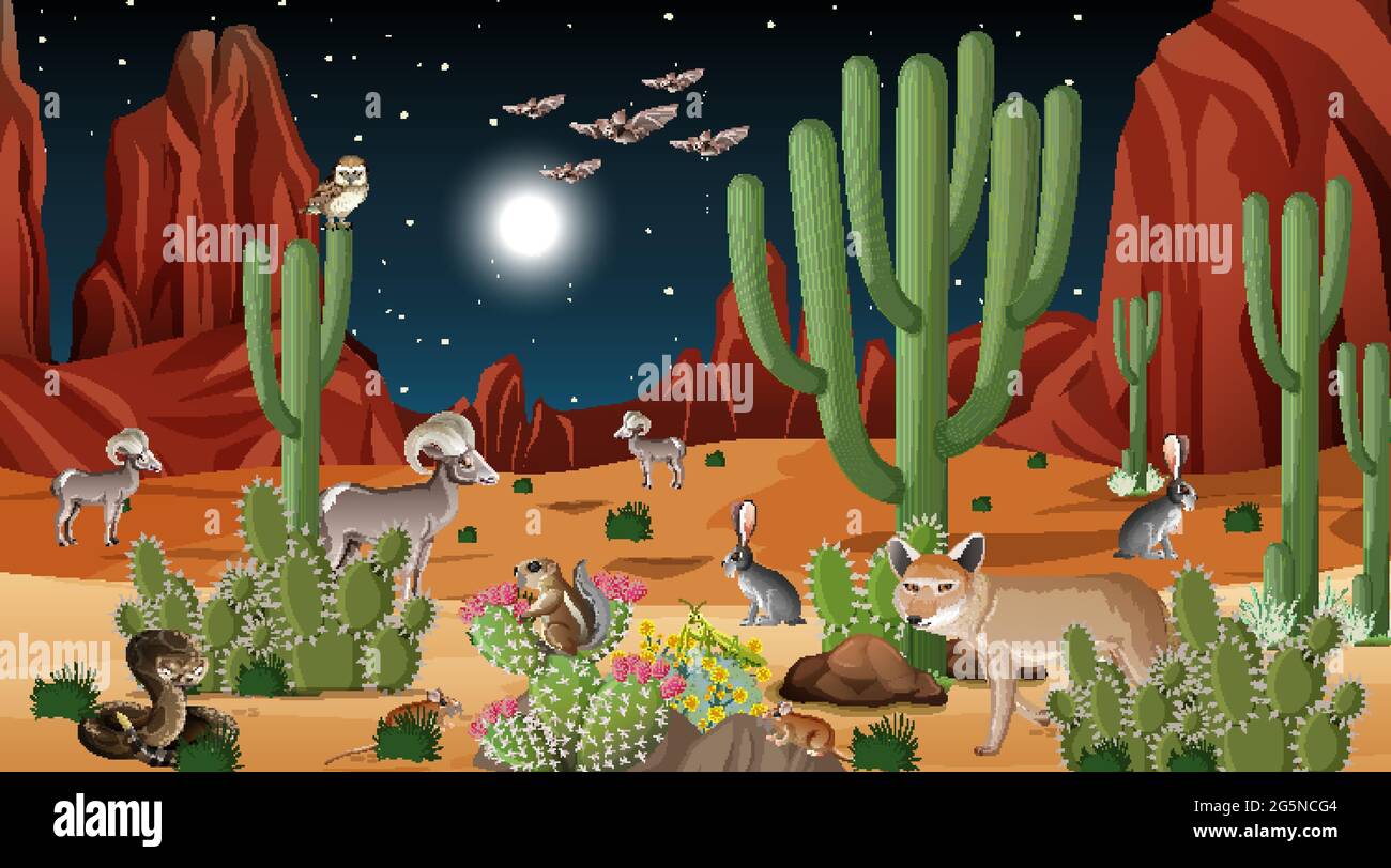 Desert forest landscape at night scene with wild animals illustration Stock Vector Image & Art ...
