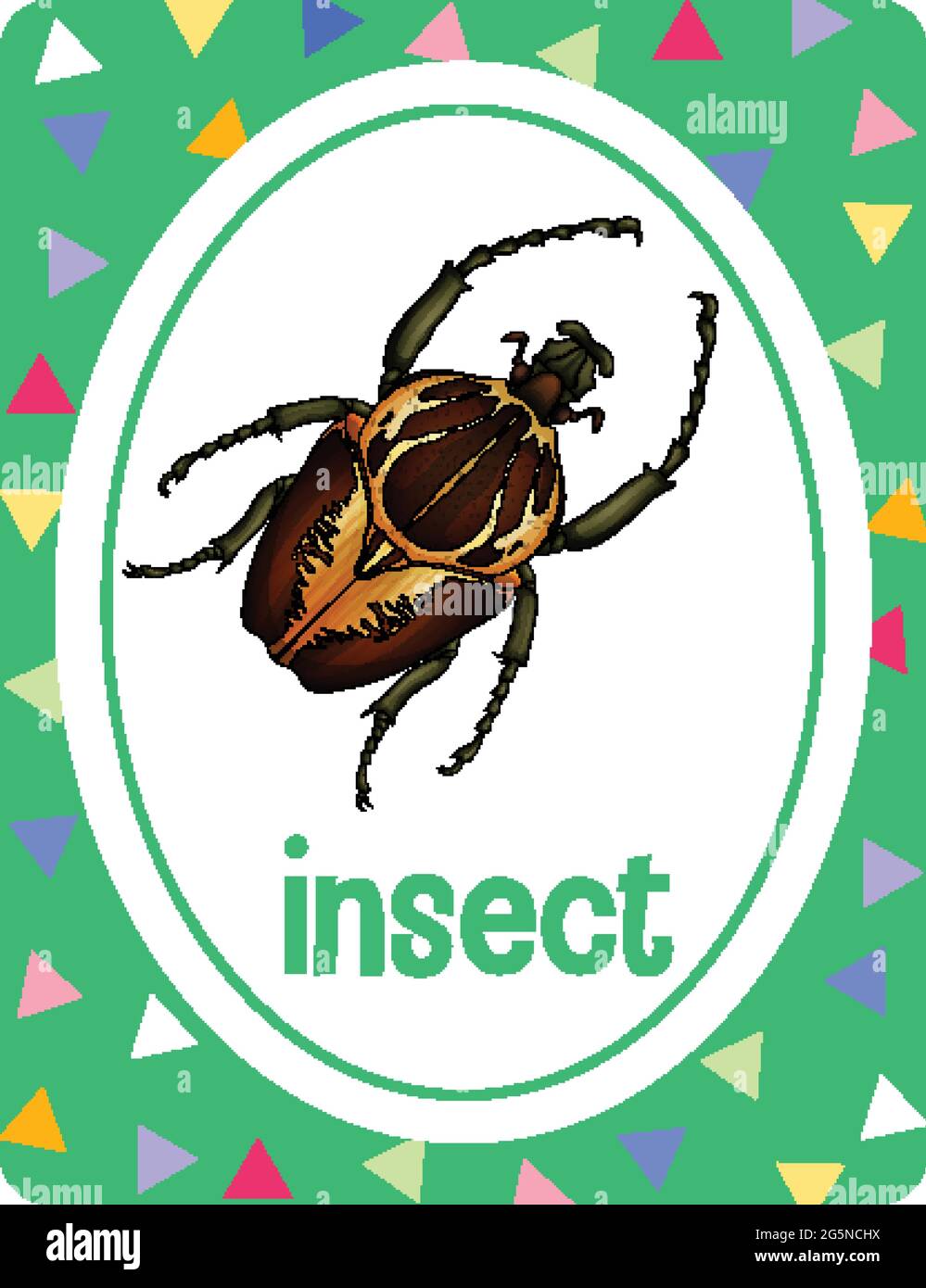 Vocabulary flashcard with word Insect illustration Stock Vector Image ...
