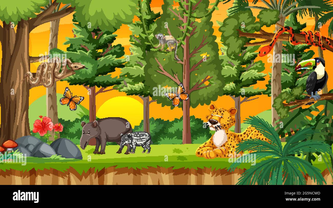 Animated Forest With Animals