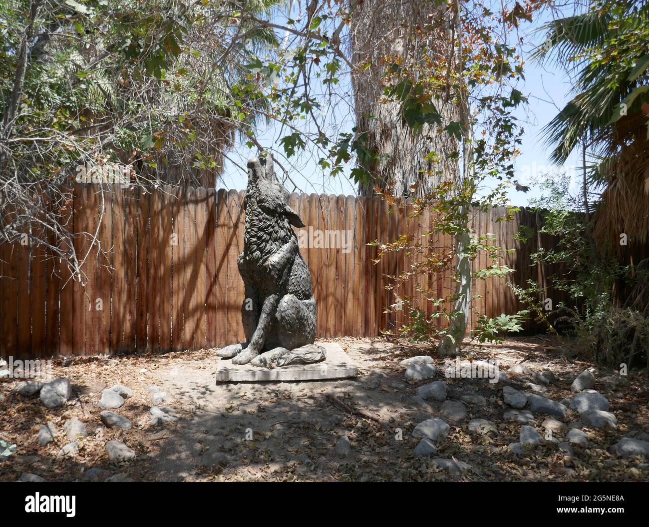 Coyote statue hi-res stock photography and images - Alamy