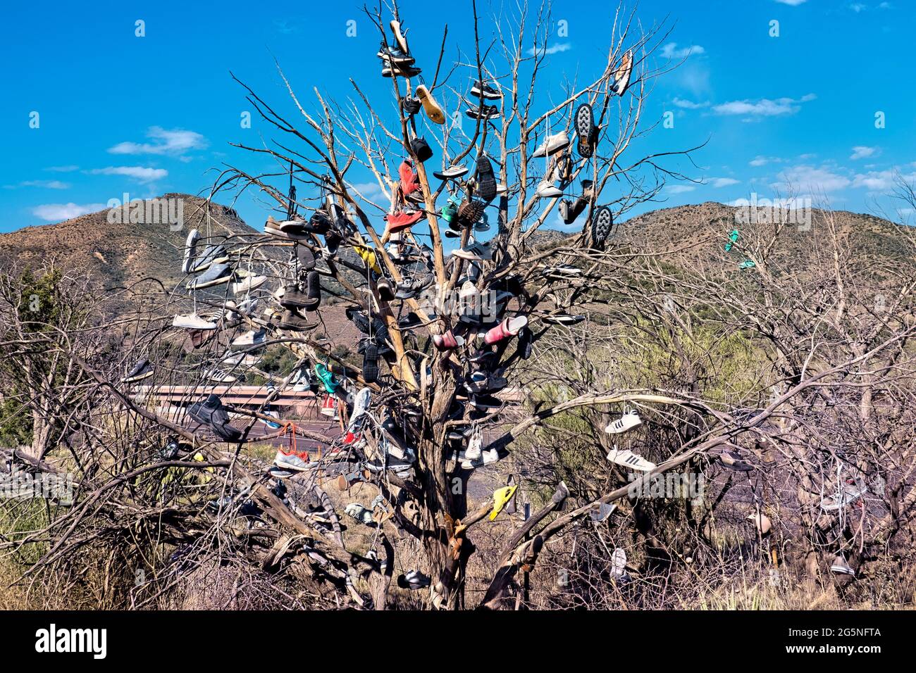 Shoe tree hi-res stock photography and images - Alamy
