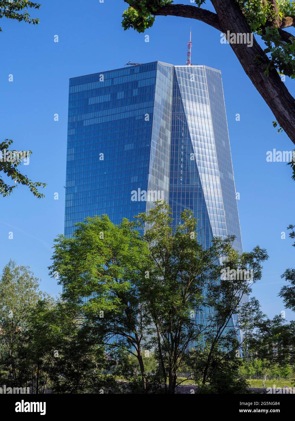 European Central Bank - ECB, Frankfurt, Hesse, Germany, Europe Stock ...