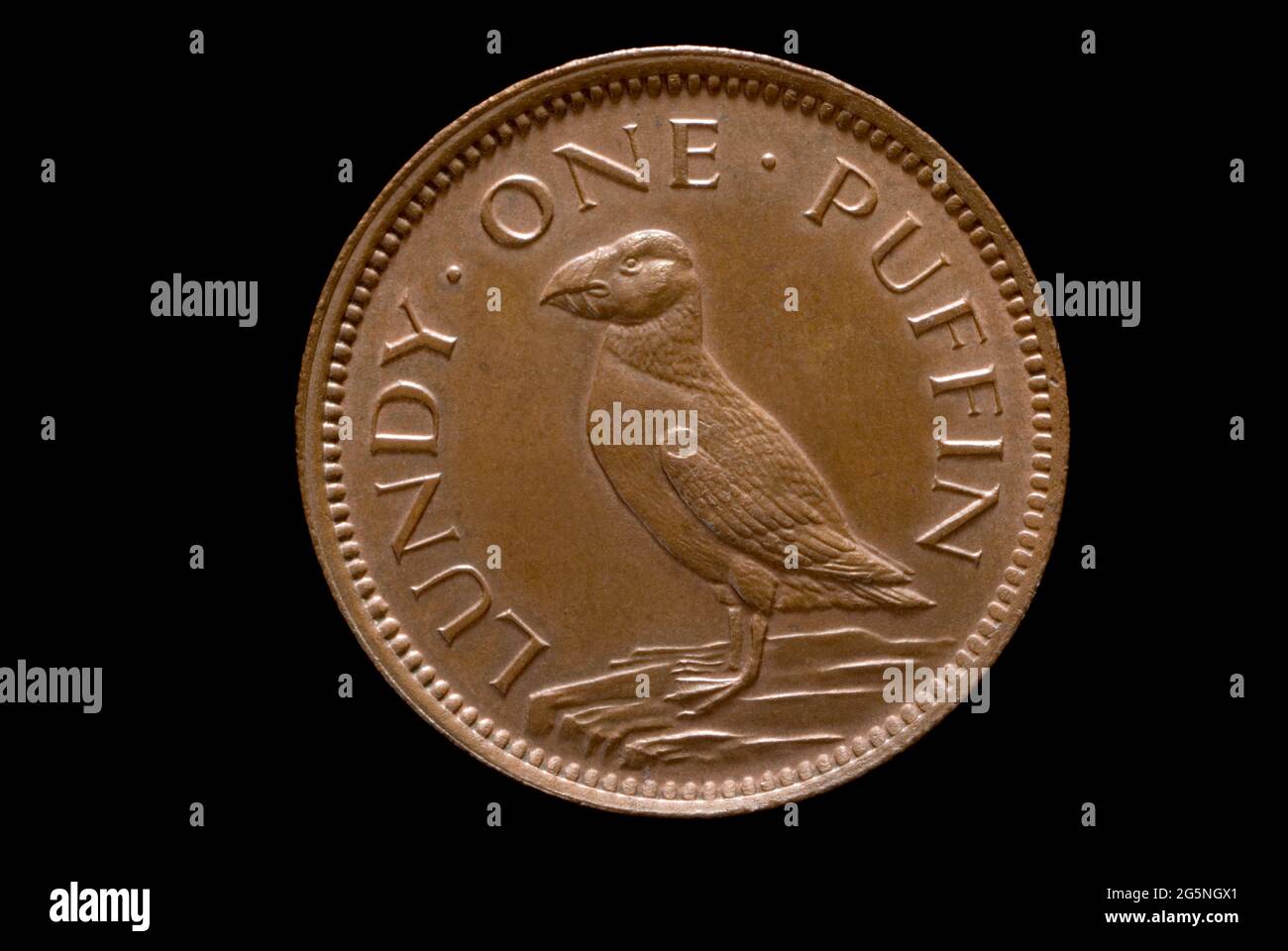 Old puffin hi-res stock photography and images - Alamy