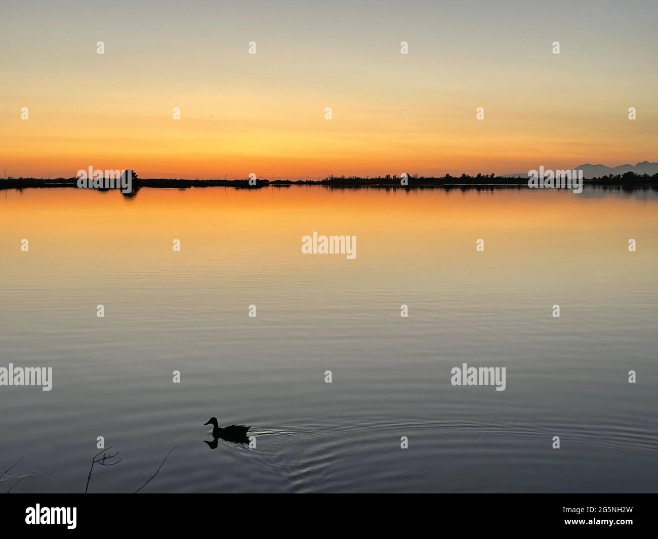 Beautiful sunset background. Summer holidays concept. Text Stock Photo ...