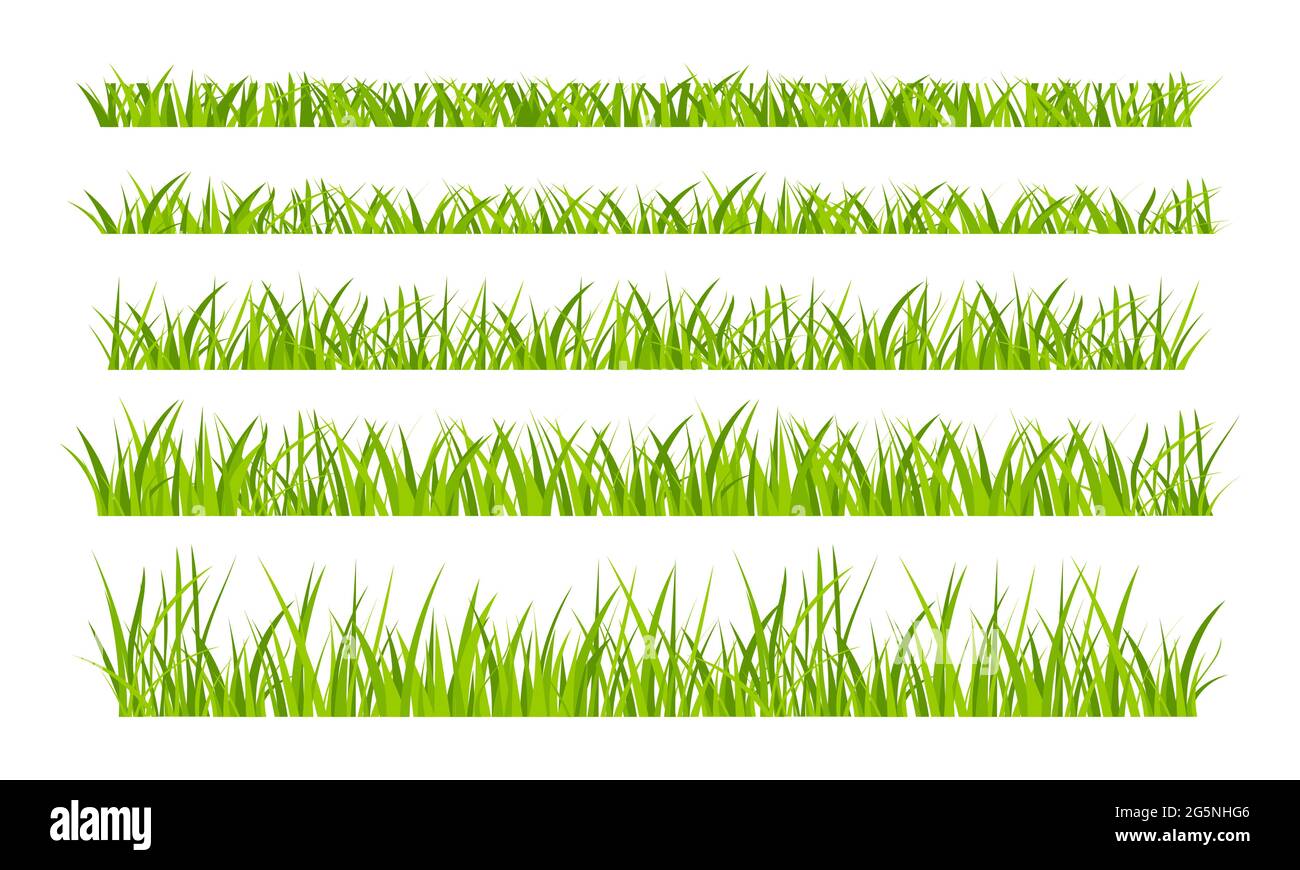 Green grassland lawn field border flat style design vector illustration ...