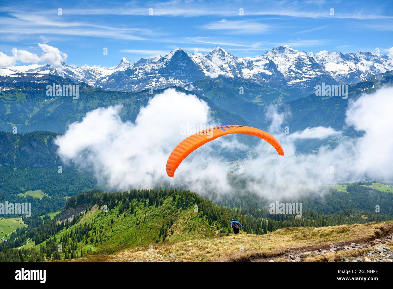 starting paragliding flyer in the Bernese Alps in front of Eiger Mönch ...
