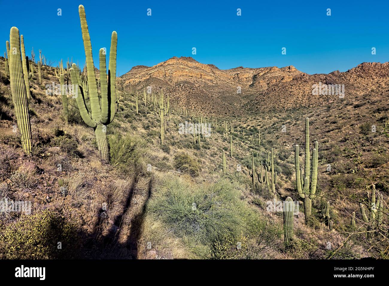 Hiking in the Superstition Mountains, Arizona Trail, Superior, Arizona ...