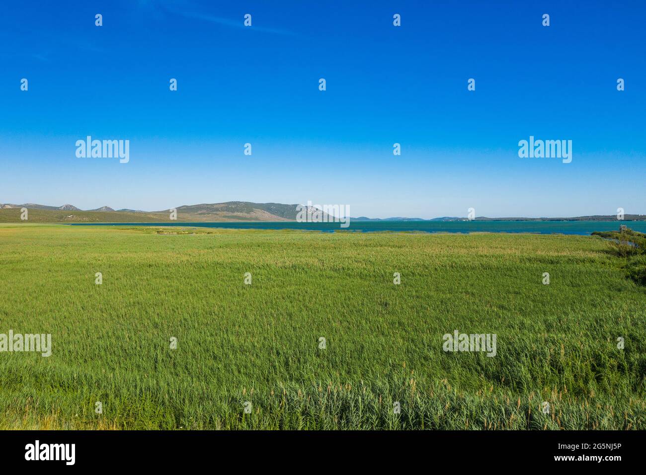 River in ornithological nature park Vrana lake (Vransko jezero) in ...