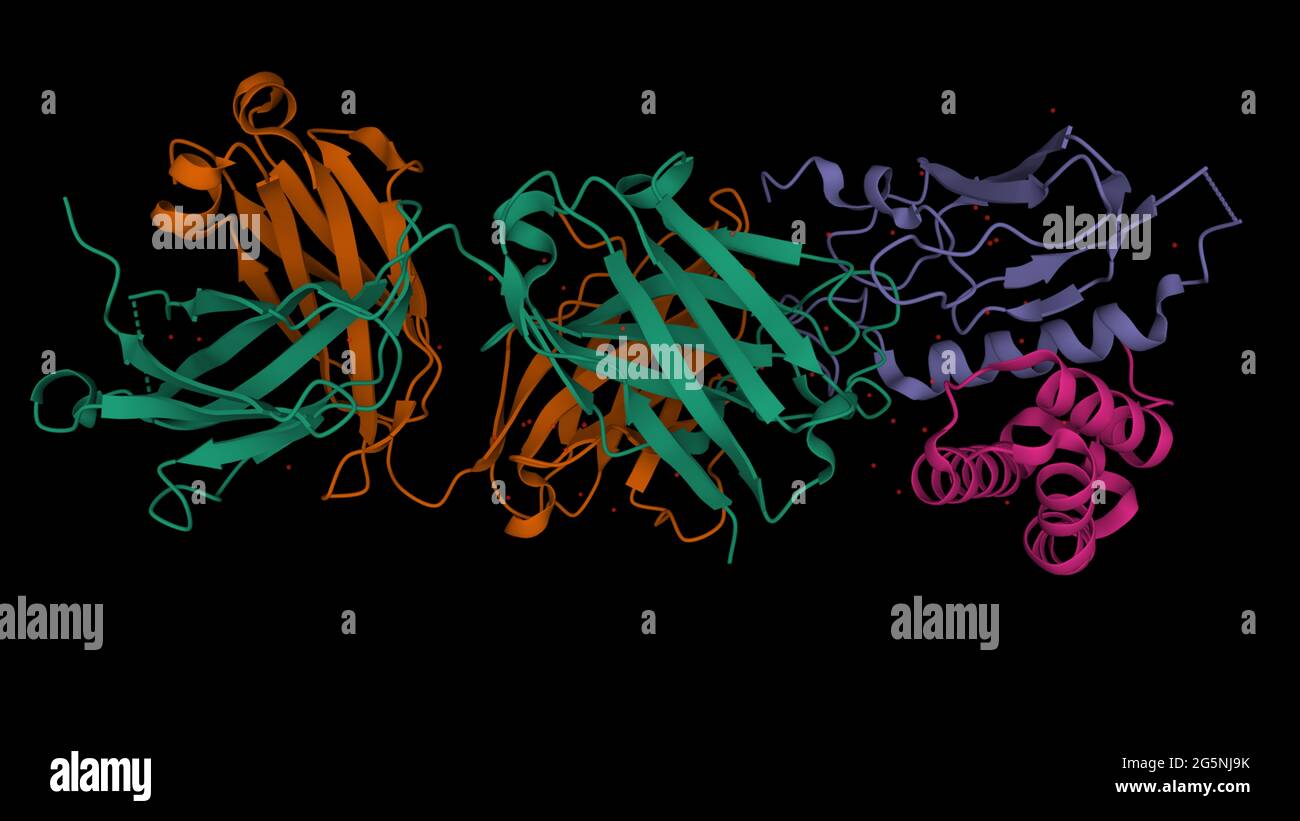 Crystal structure of erenumab (Aimovig) Fab bound to the extracellular ...