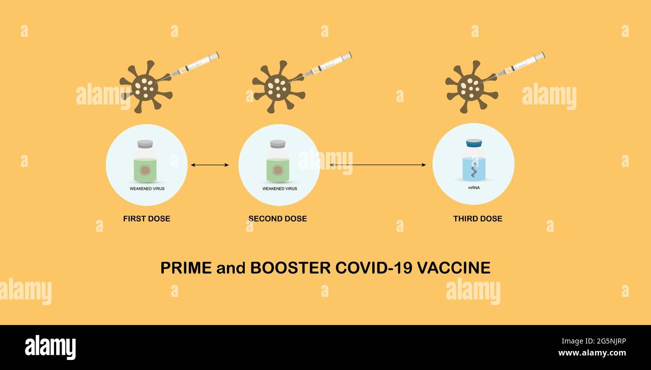 Prime and booster covid-19 vaccination. Vector illustration of covid-19 ...