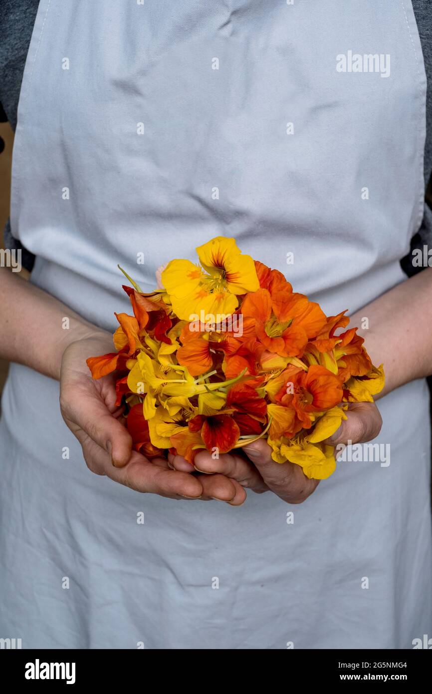 Edible flowers vertical farming hi-res stock photography and images - Alamy