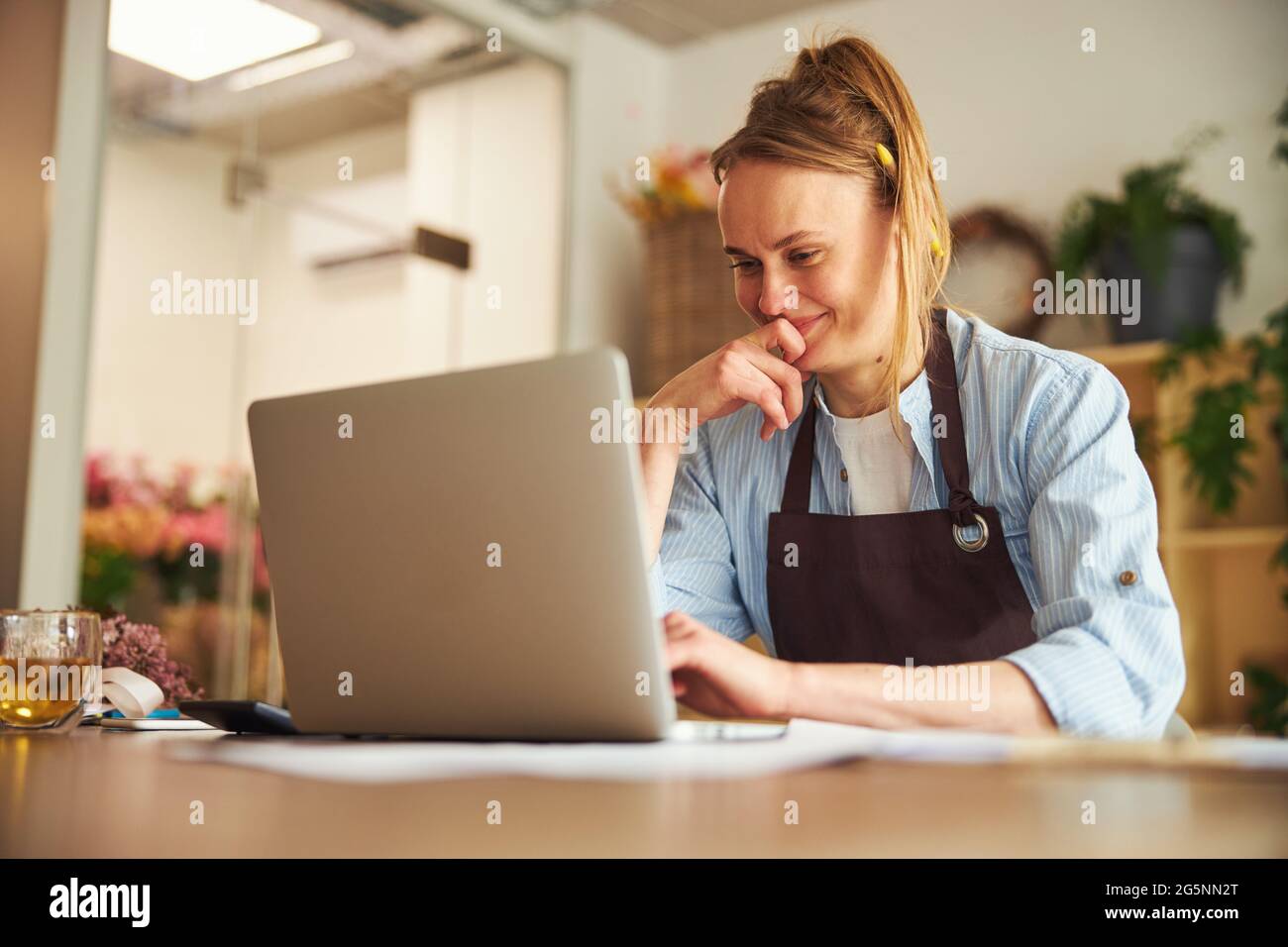 Joyous focused woman reading an email on her laptop Stock Photo - Alamy