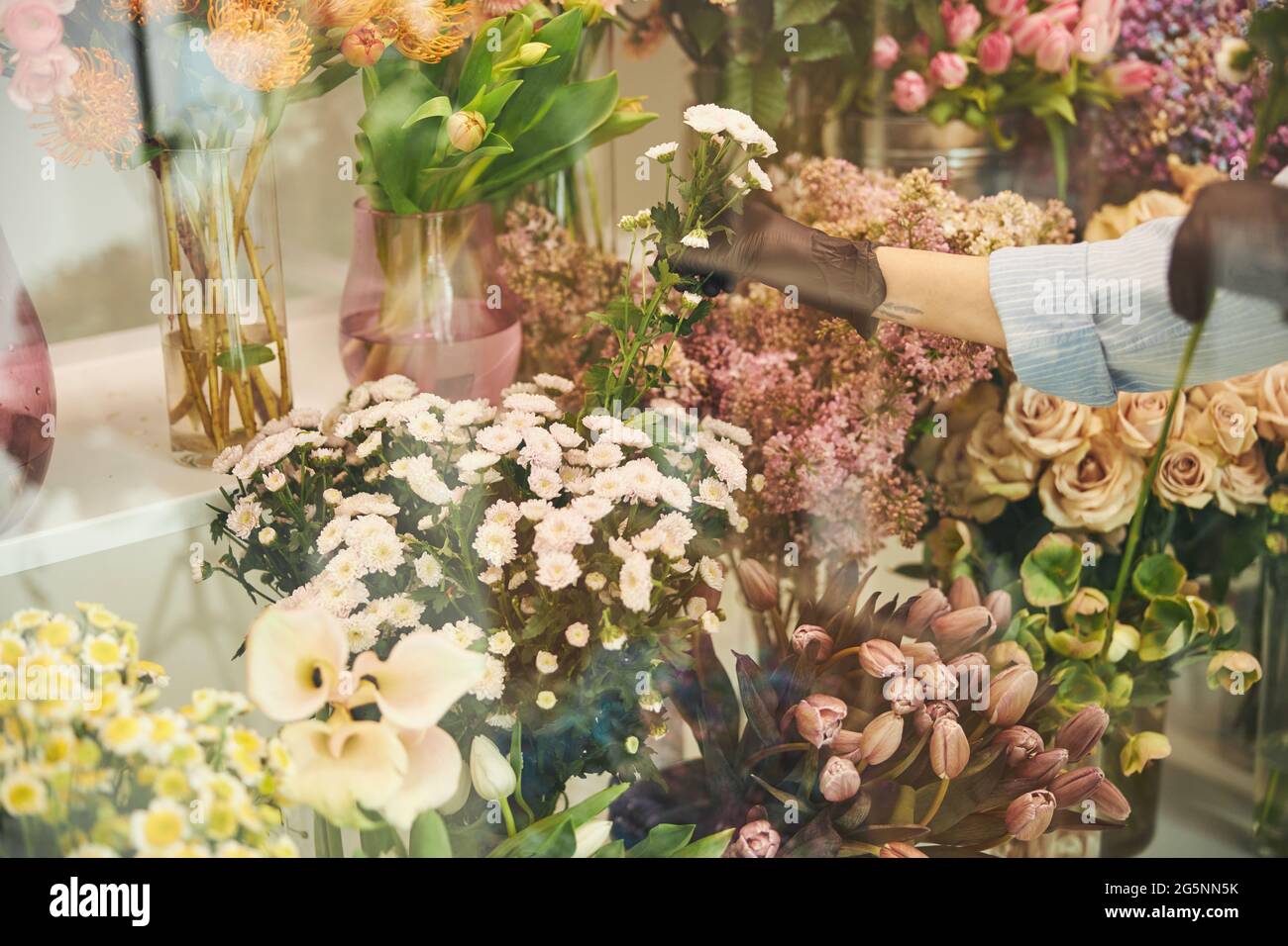 Professional florist selecting ornamental plants for a bouquet Stock ...