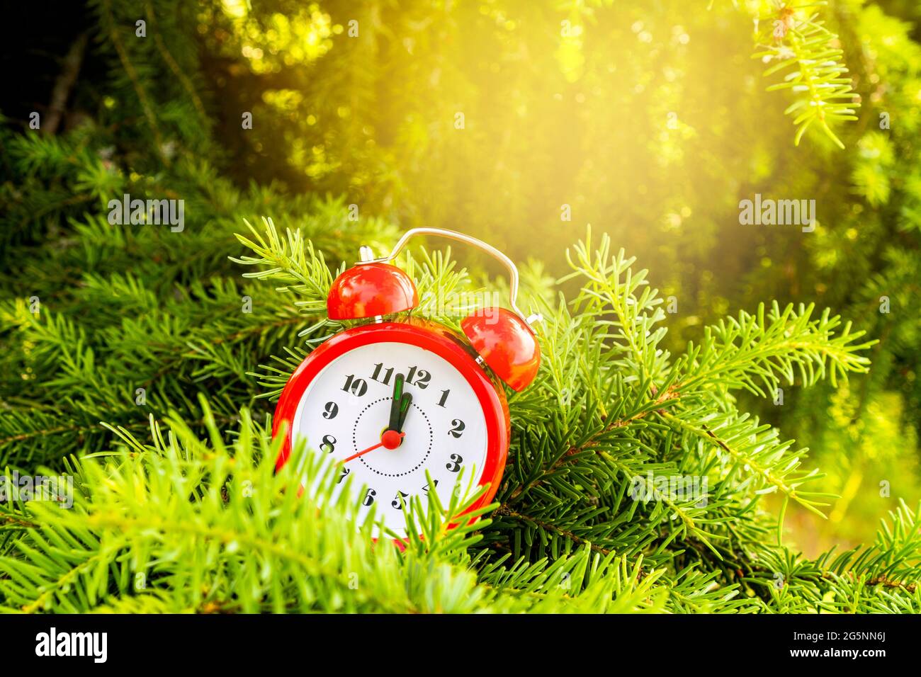 Red alarm clock on the Christmas tree. The time on the clock 11:59 PM ...