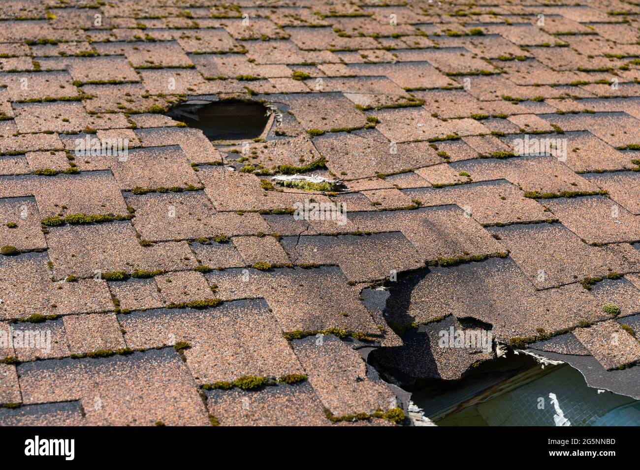 Close up view of asphalt shingles roof damage that needs repair Stock ...