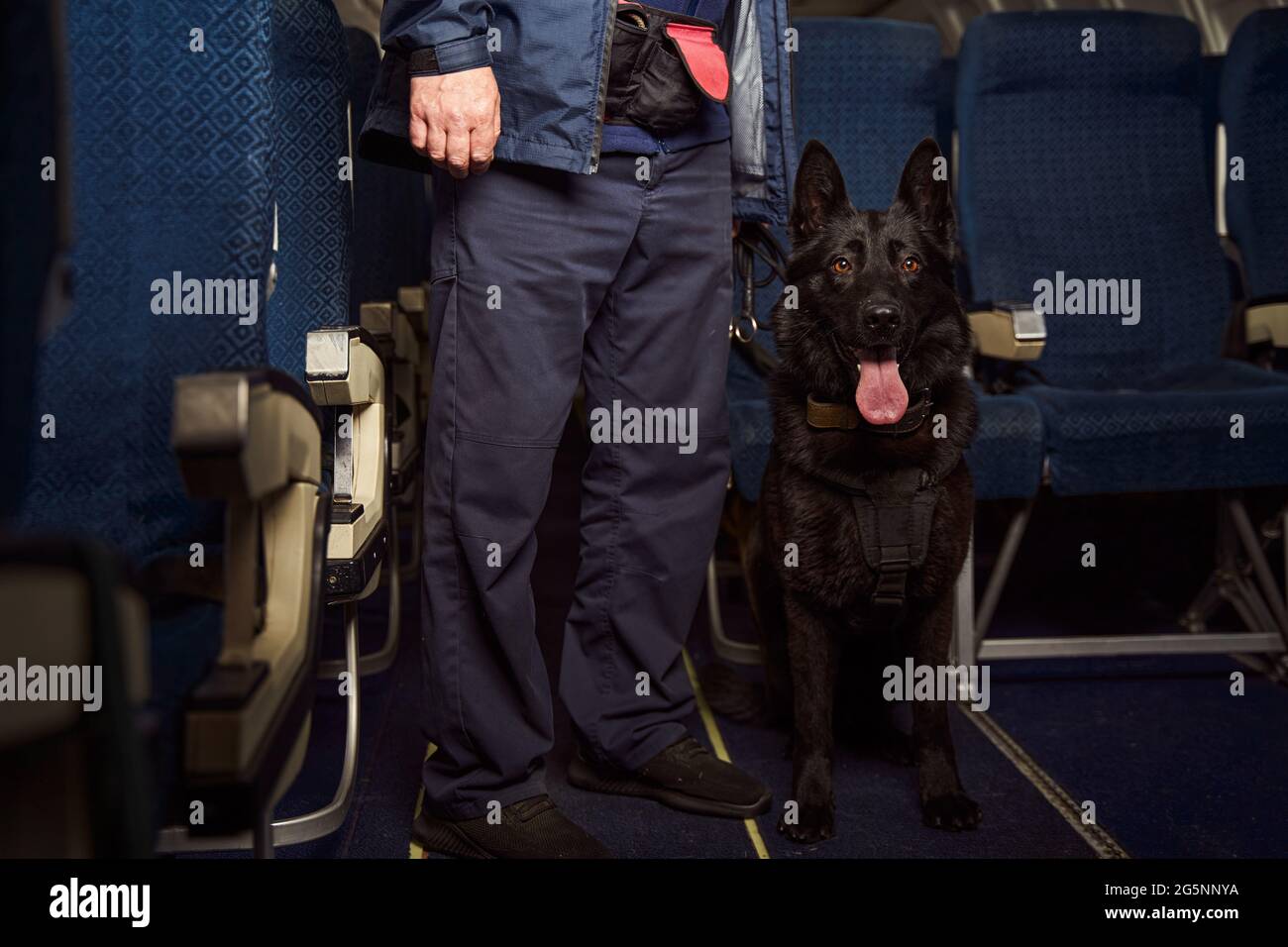 Transport police officer airplane plane hi-res stock photography and ...