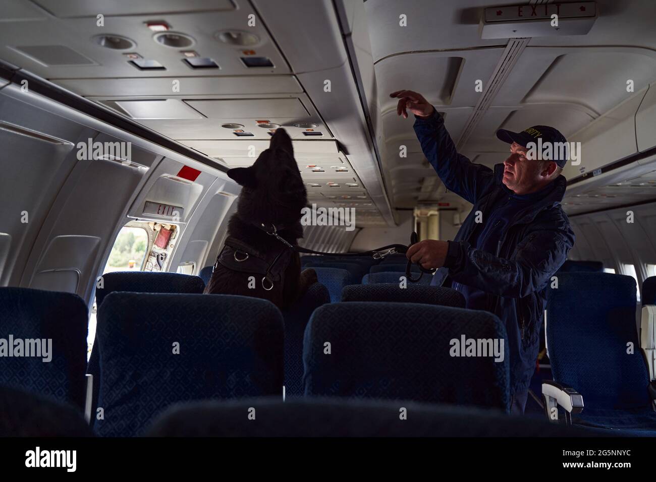 Security officer with detection dog checking passenger airplane Stock ...