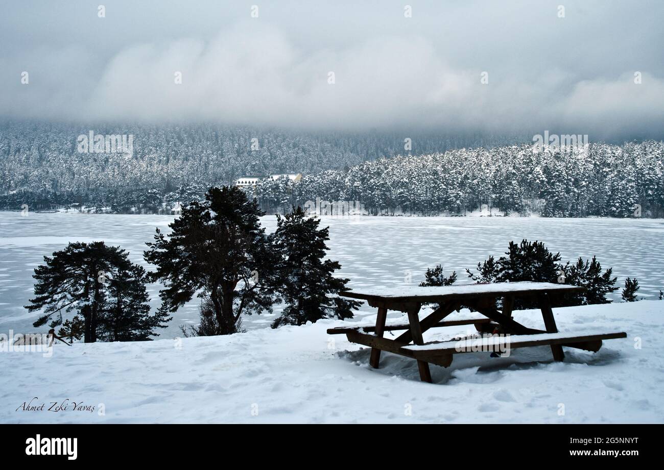 Beautiful scenery that captures the mesmerizing winter season in Abant ...