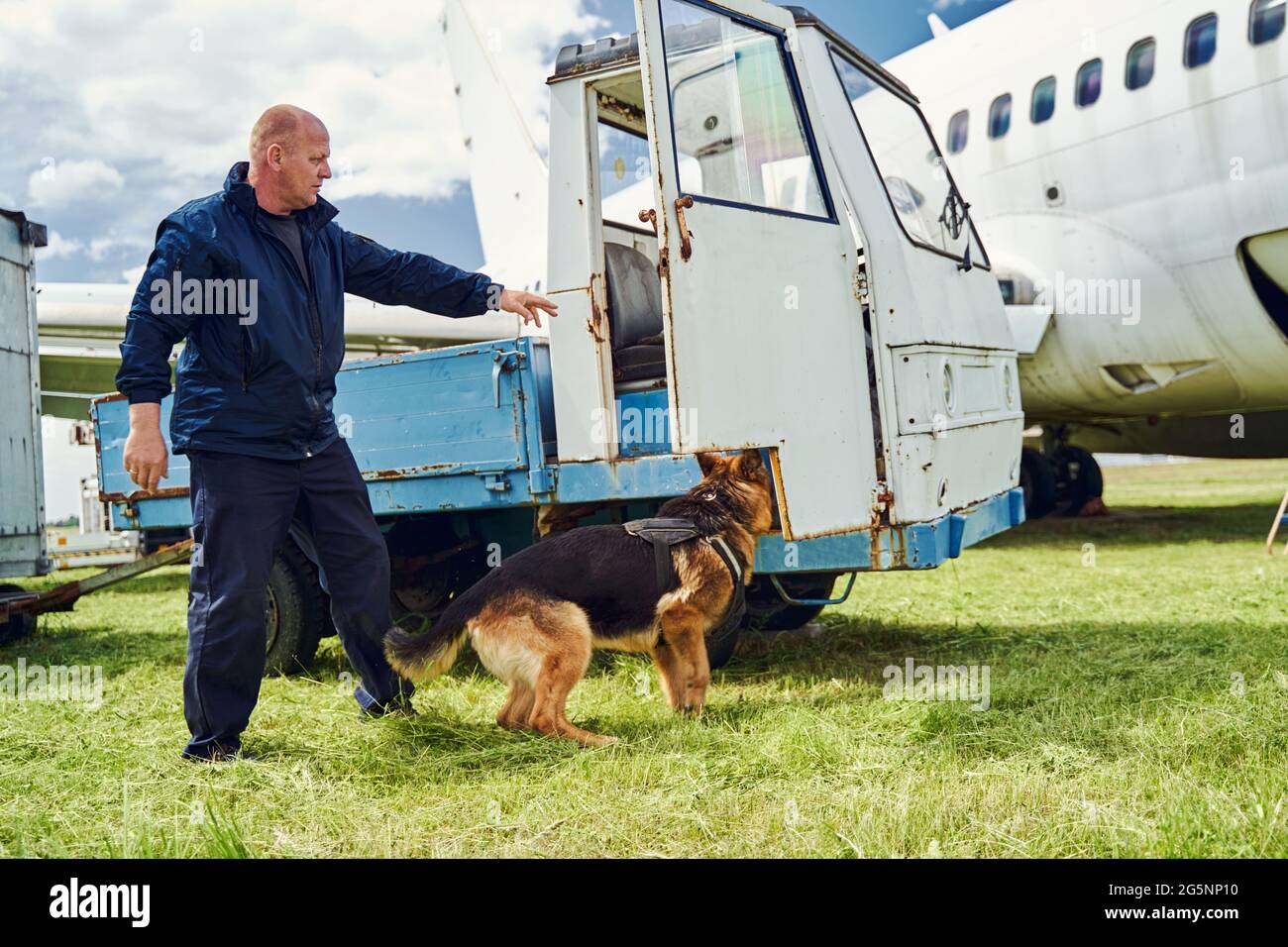 Security officer and detection dog checking truck at aerodrome Stock ...
