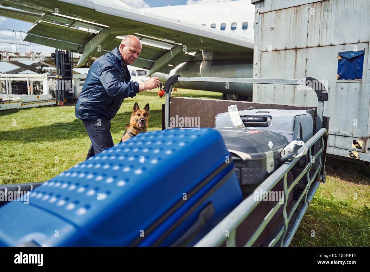Dog security cargo airport hi-res stock photography and images - Alamy