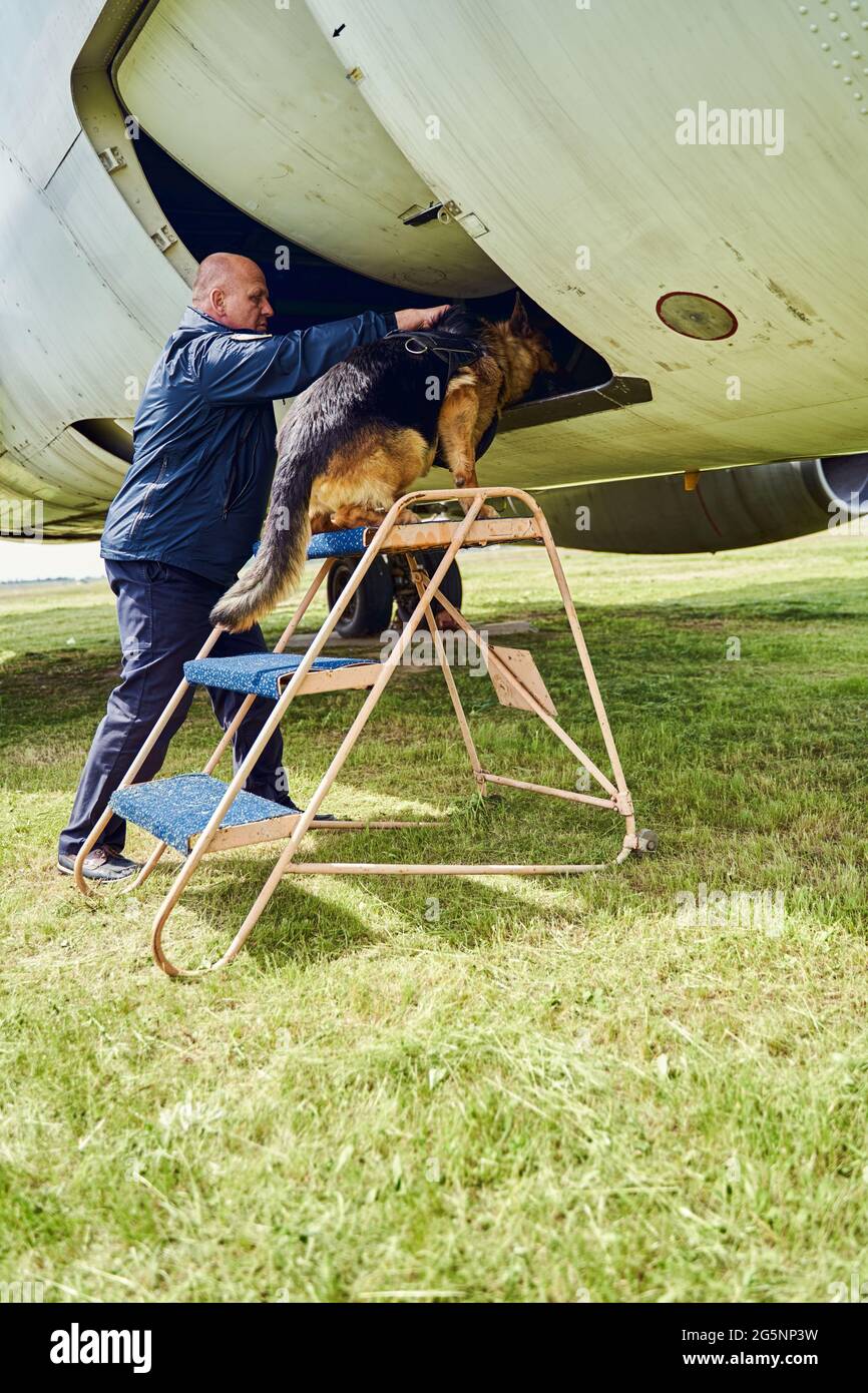 Security officer and detection dog inspecting airplane at airfield ...