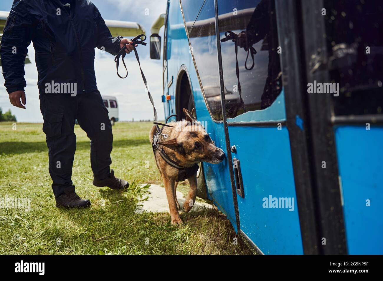 Security officer and detection dog inspecting vehicle at aerodrome ...