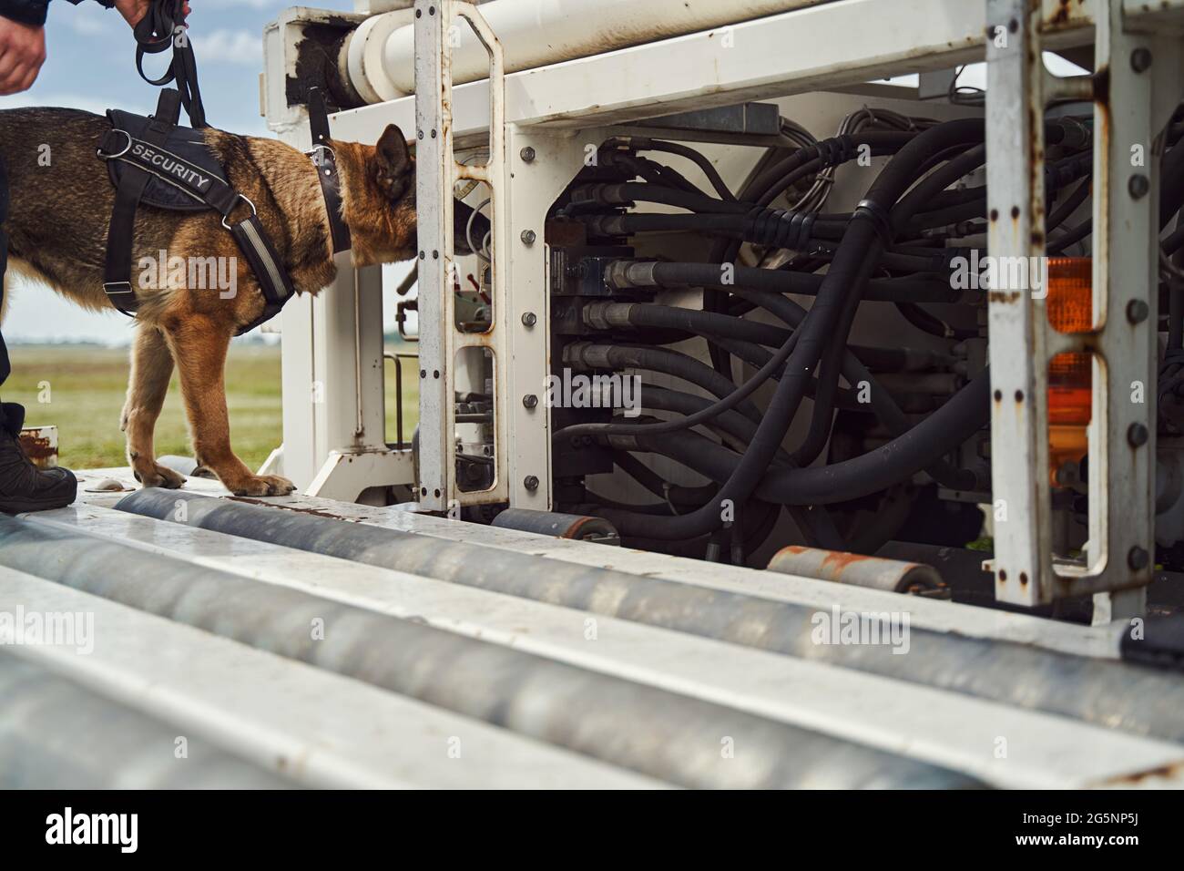 Security officer and police dog inspecting airplane at airfield Stock ...