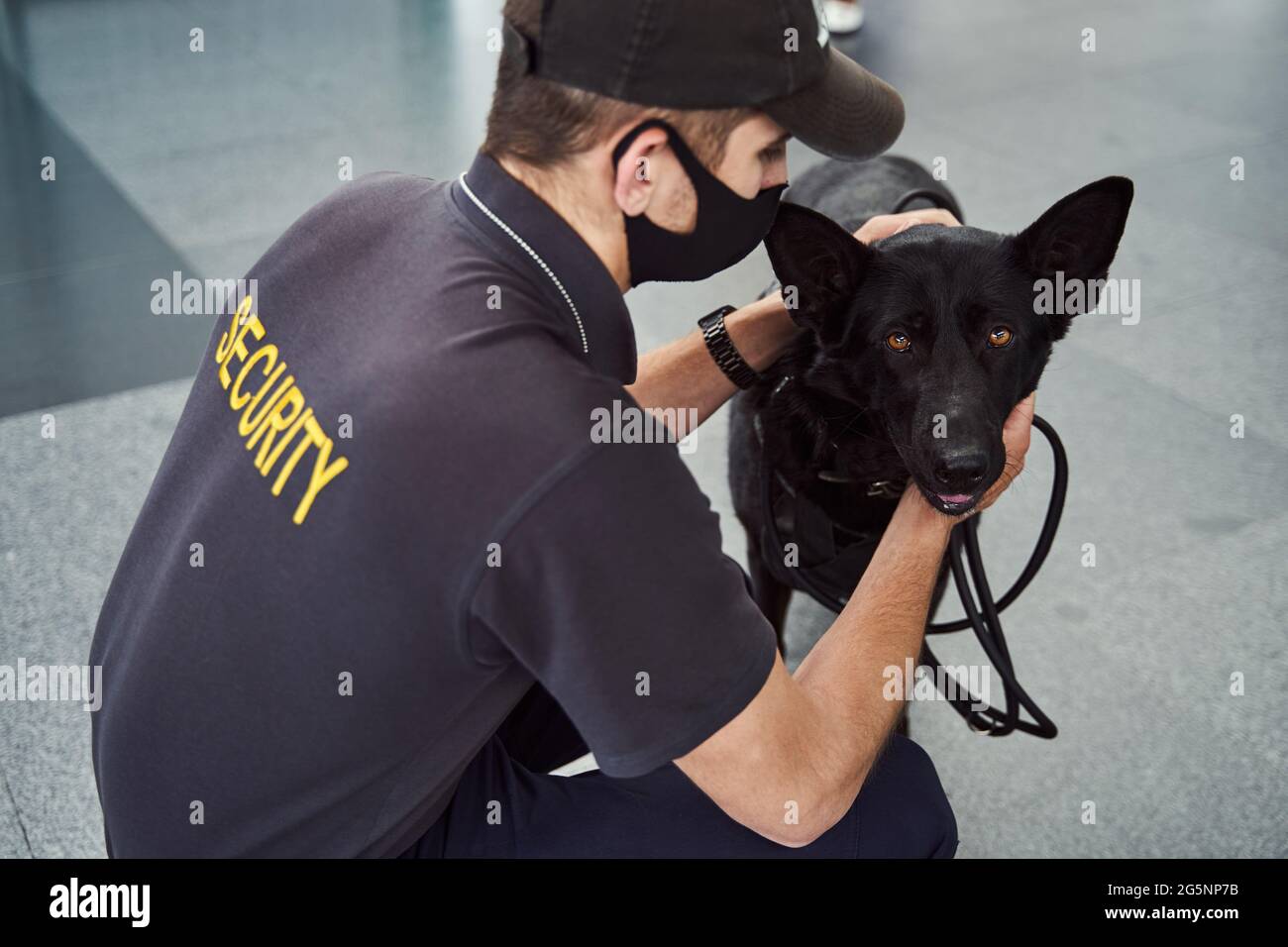 Male security officer with detection dog working at airport Stock Photo ...
