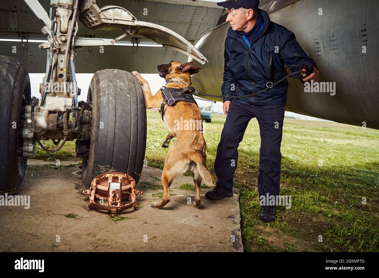 Security officer and police dog inspecting airplane at airfield Stock ...