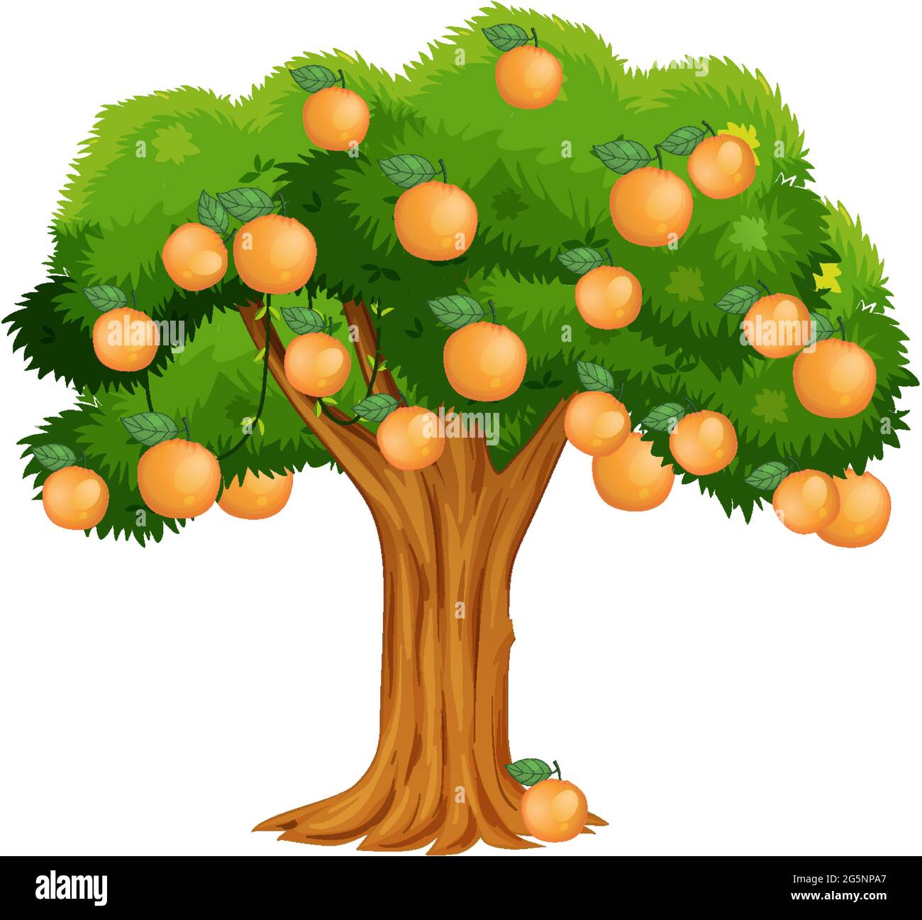 Orange tree isolated on white background illustration Stock Vector ...