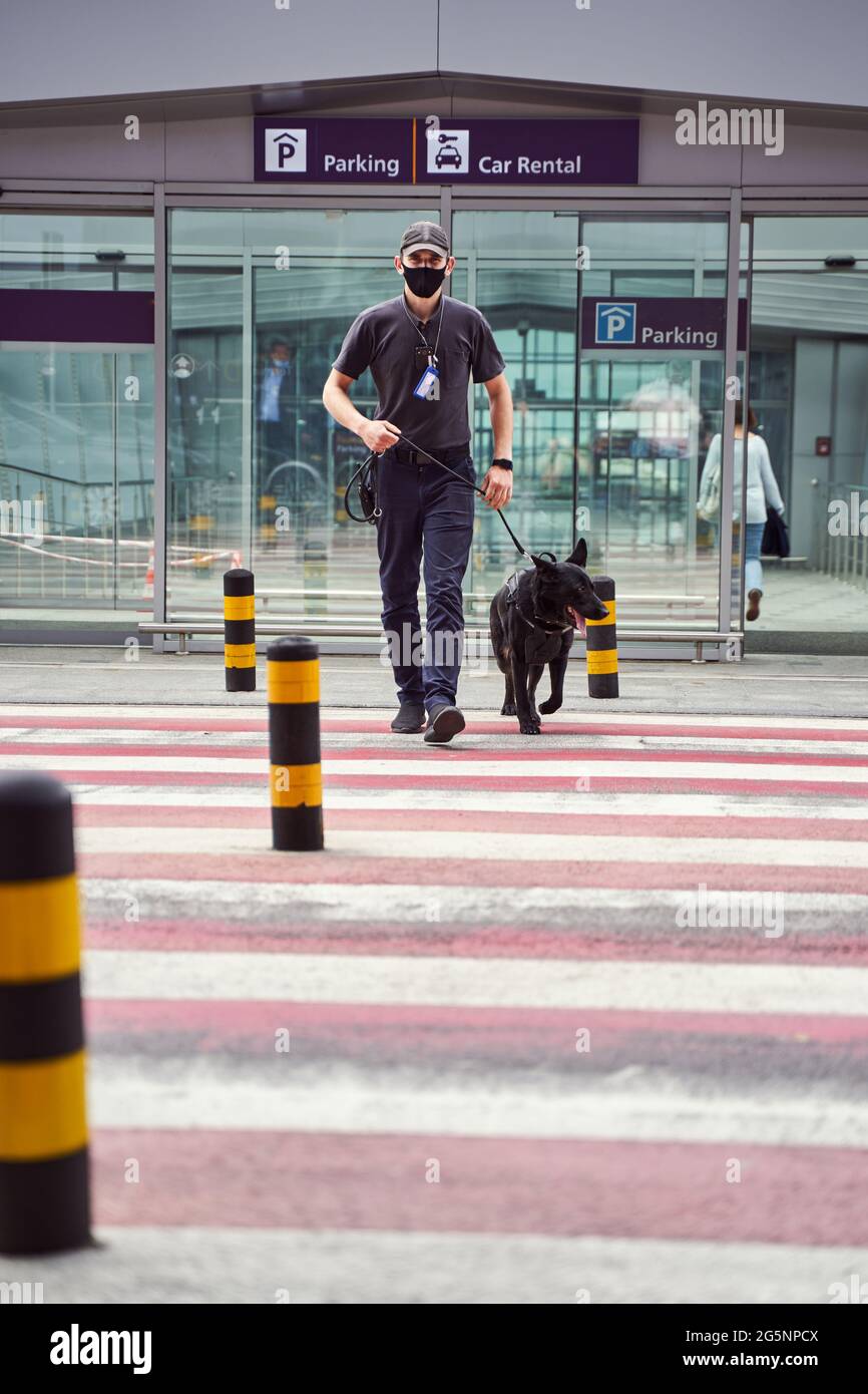 Security worker with police dog crossing the road at airport Stock ...