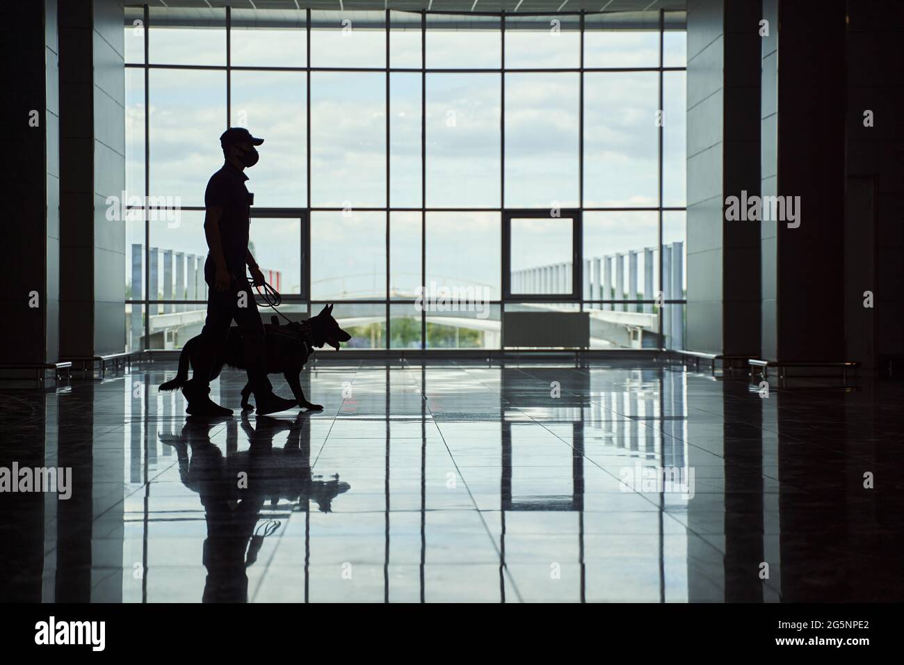 Security worker and police dog walking down airport terminal Stock ...