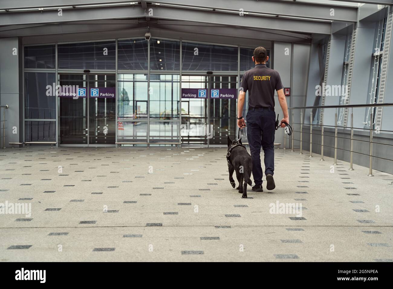 Security officer with police dog heading to parking building Stock ...
