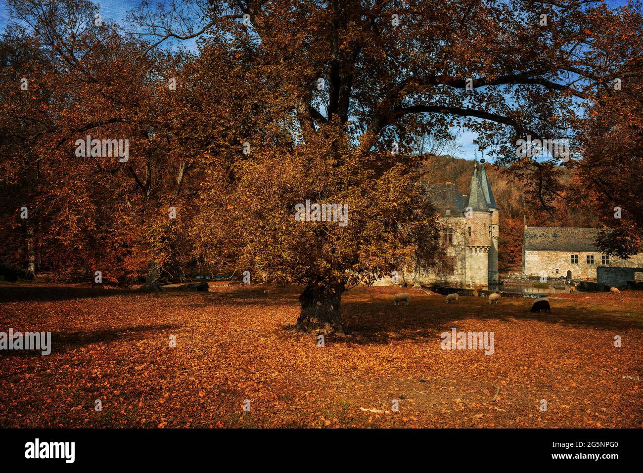 Spontin High Resolution Stock Photography and Images - Alamy