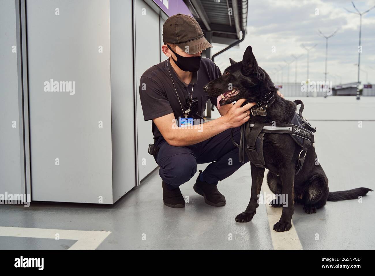 Quarantine dog airport hi-res stock photography and images - Alamy