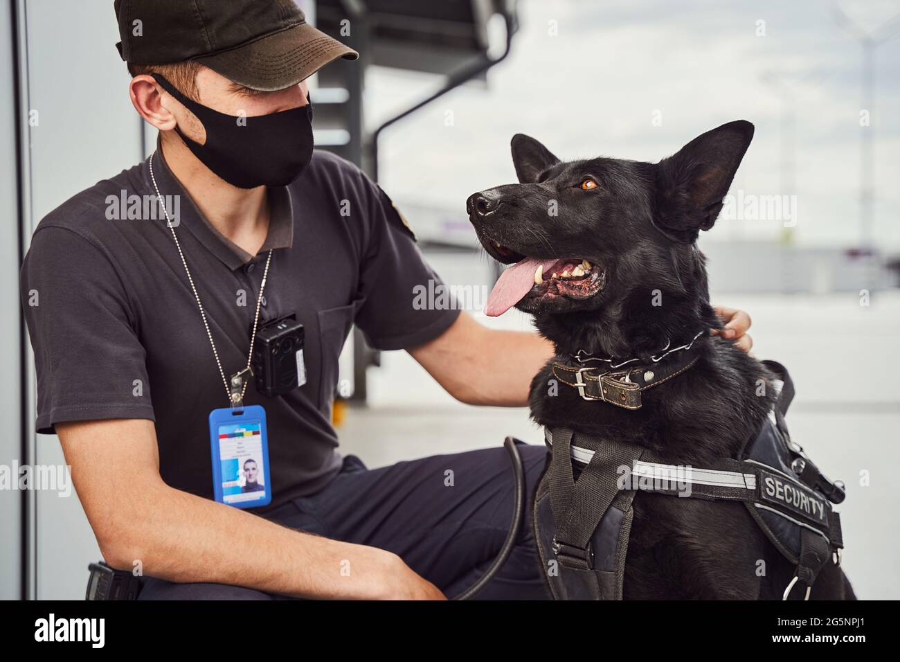 Black elkhound hi-res stock photography and images - Alamy