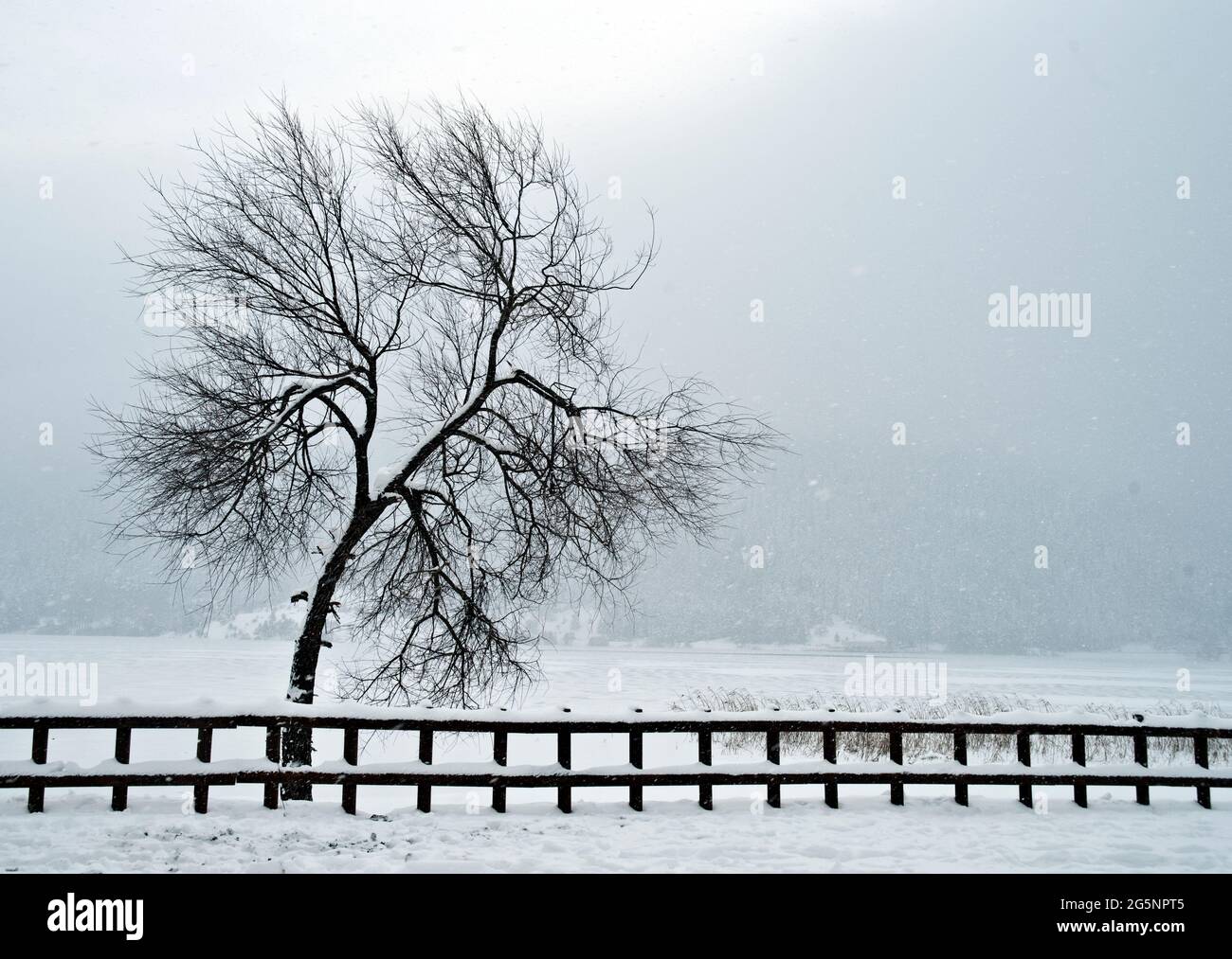 Beautiful scenery captures mesmerizing hi-res stock photography and ...