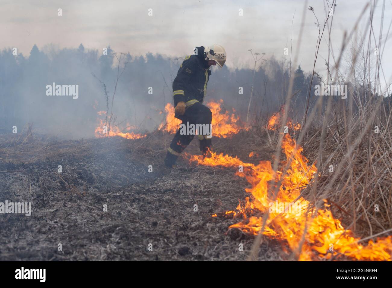 A firefighter extinguishes dry grass. A firefighter is fighting a fire ...