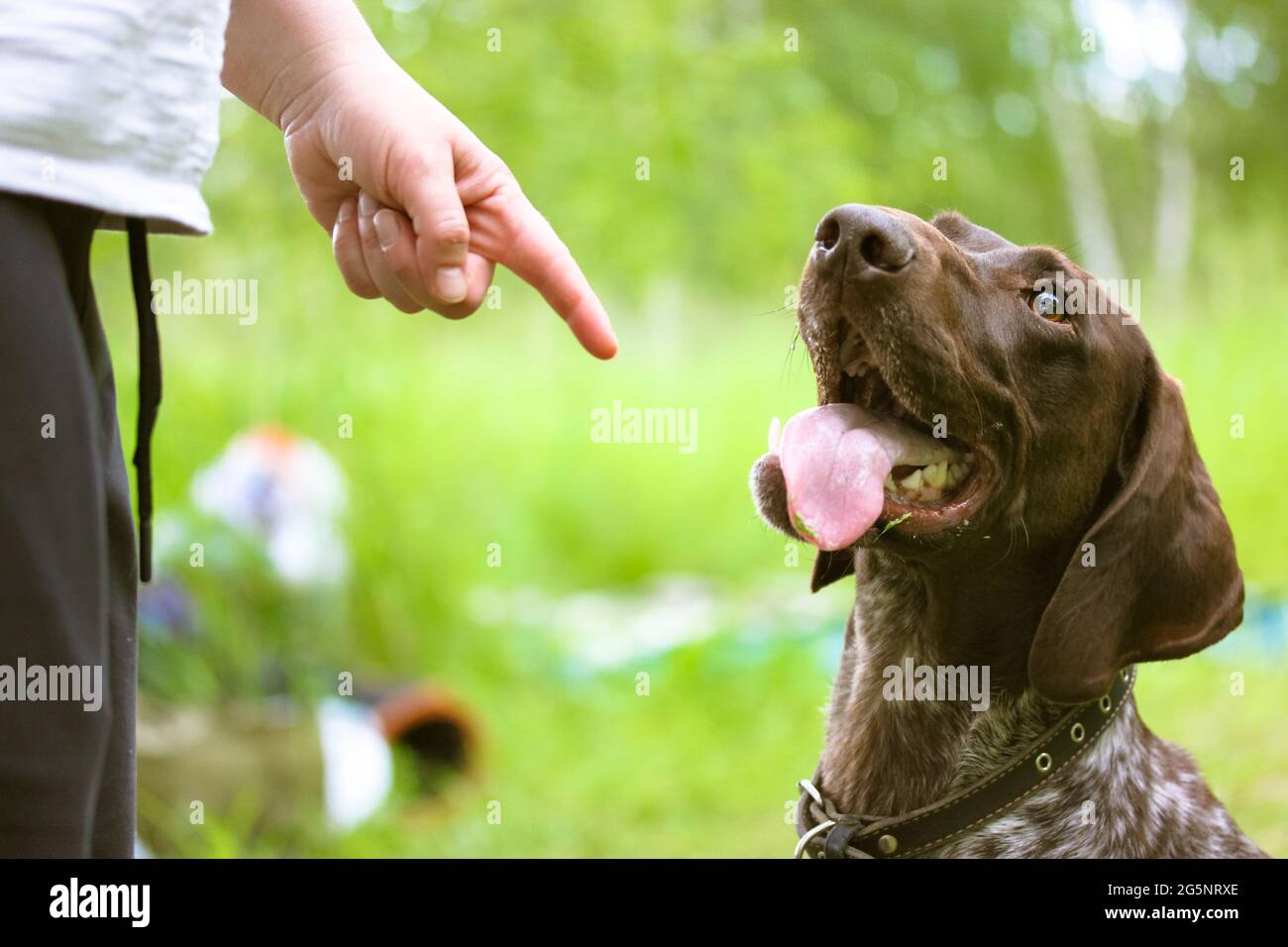 Pointing Finger At Dog
