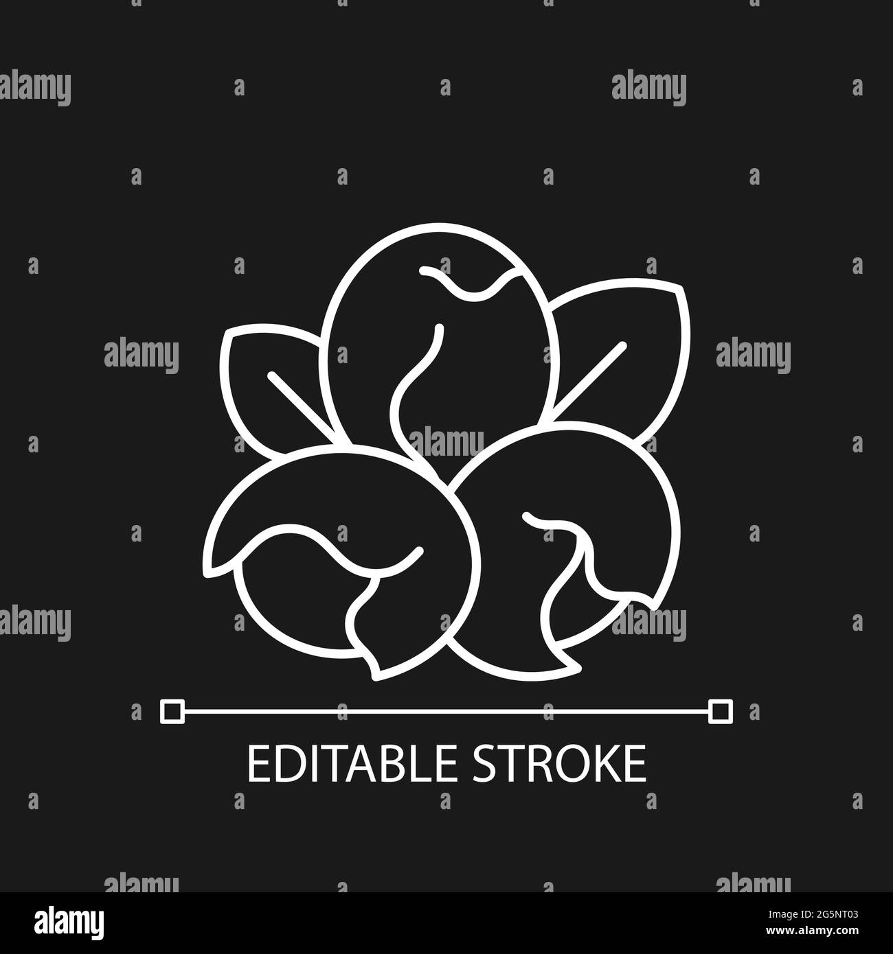 Soy nuts white linear icon for dark theme Stock Vector Image & Art - Alamy