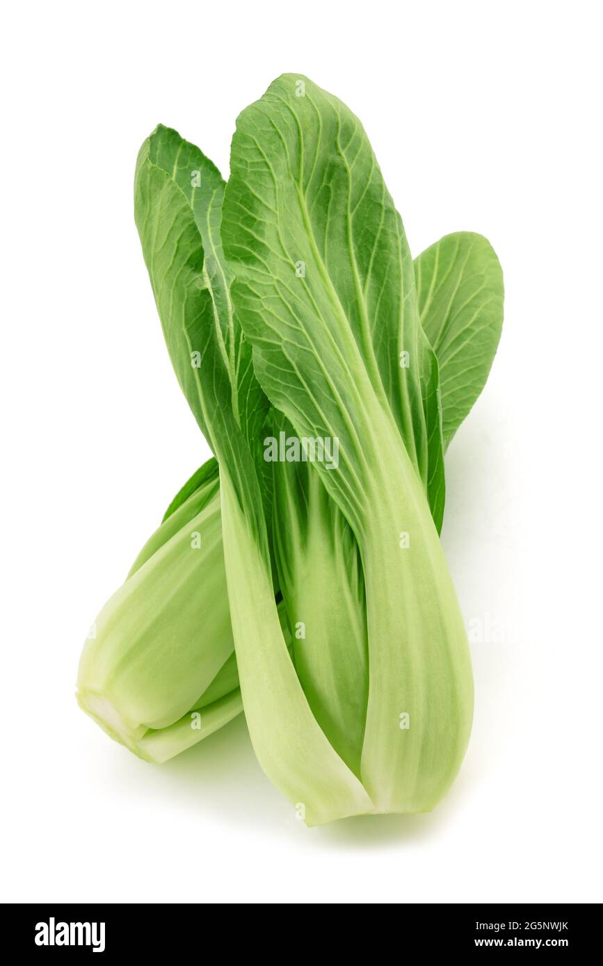 Rapa chinensis hi-res stock photography and images - Alamy