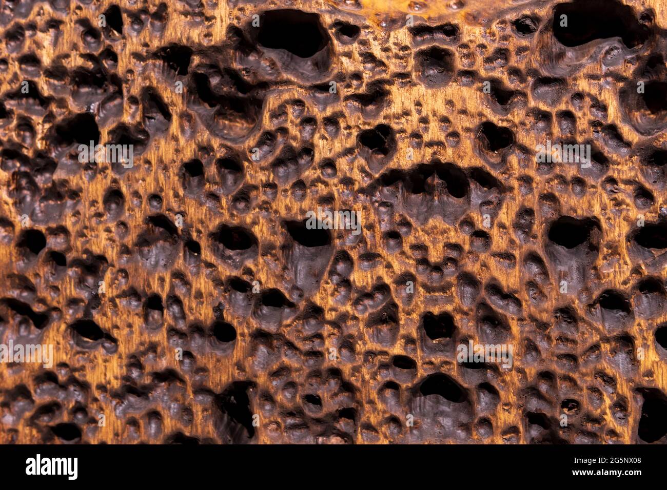 A surface with holes. Use for the concept and the concept of ...