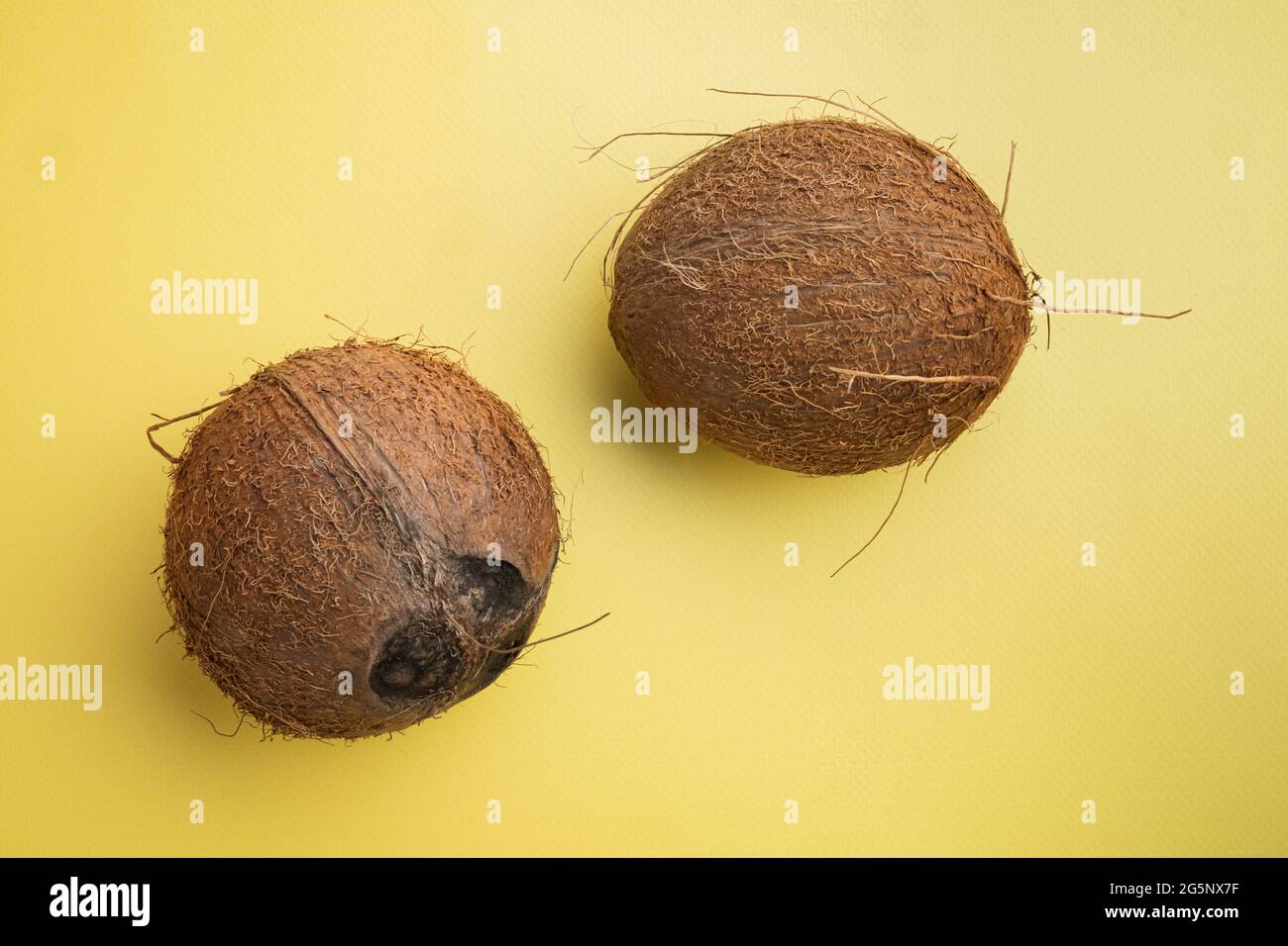 Coconut whole set, on yellow textured summer background, top view flat ...