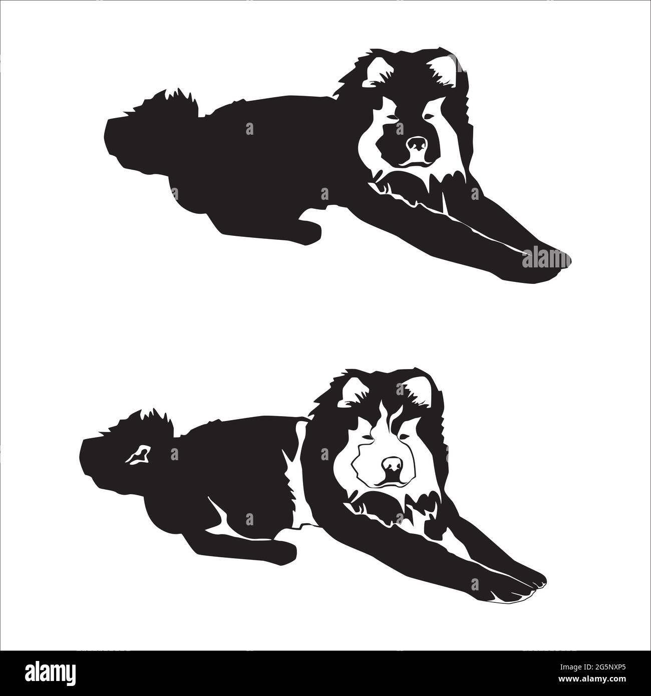 Chow chow black silhouette, vector illustration isolated on white ...