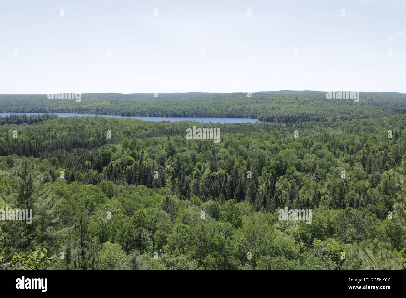 Blue lake or river surrounded by green dense forests in Algonquin ...