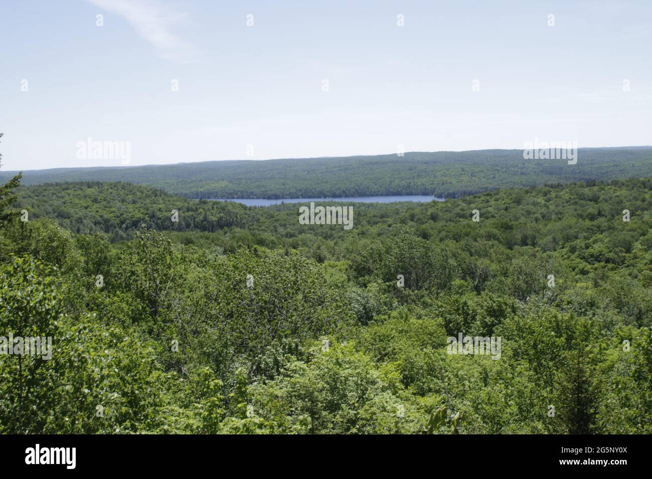 Blue lake or river surrounded by green dense forests in Algonquin ...
