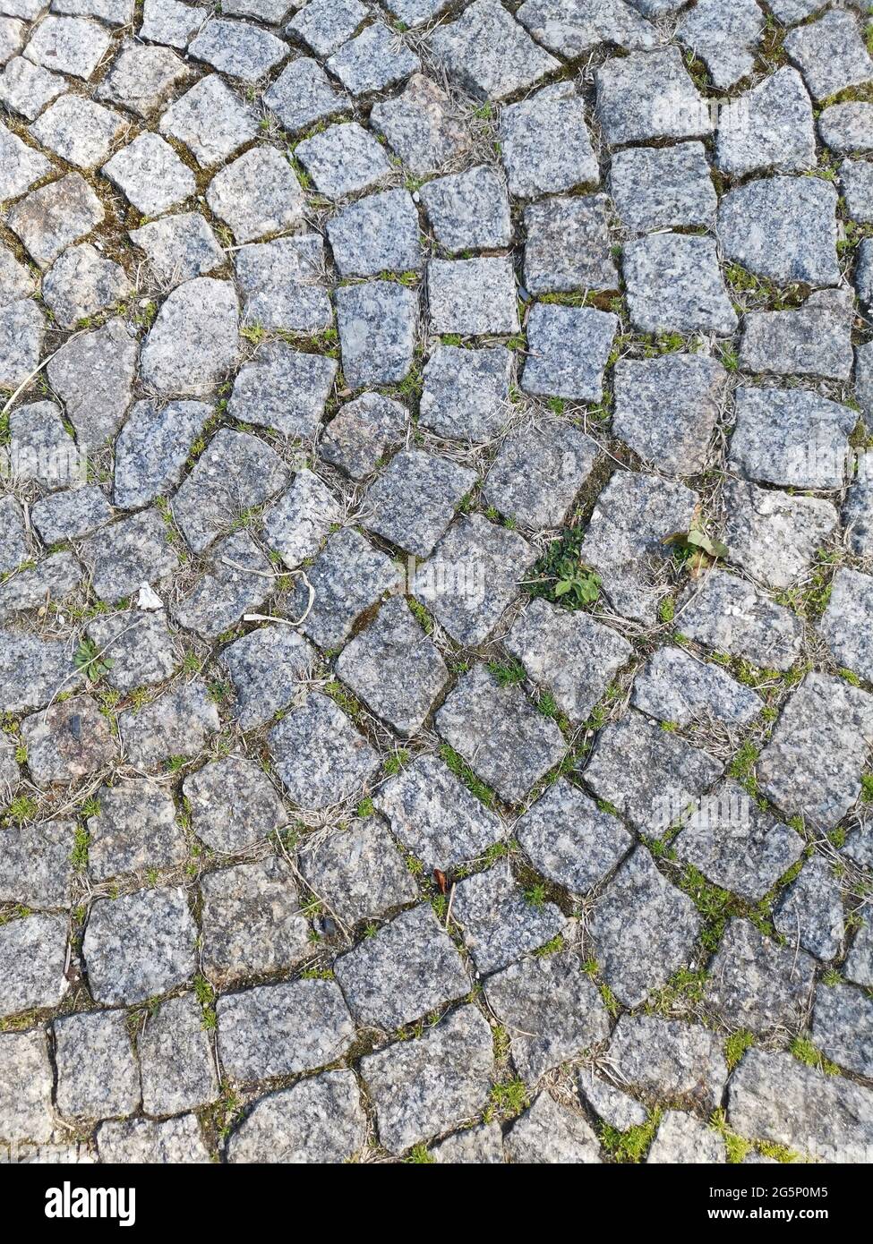 Vertical shot of square stone tiles on a floor Stock Photo - Alamy