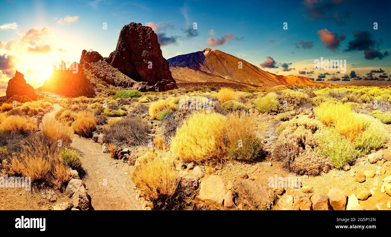 Nature volcanic landscape.Landmark in Spain.Teide volcano in Canary ...