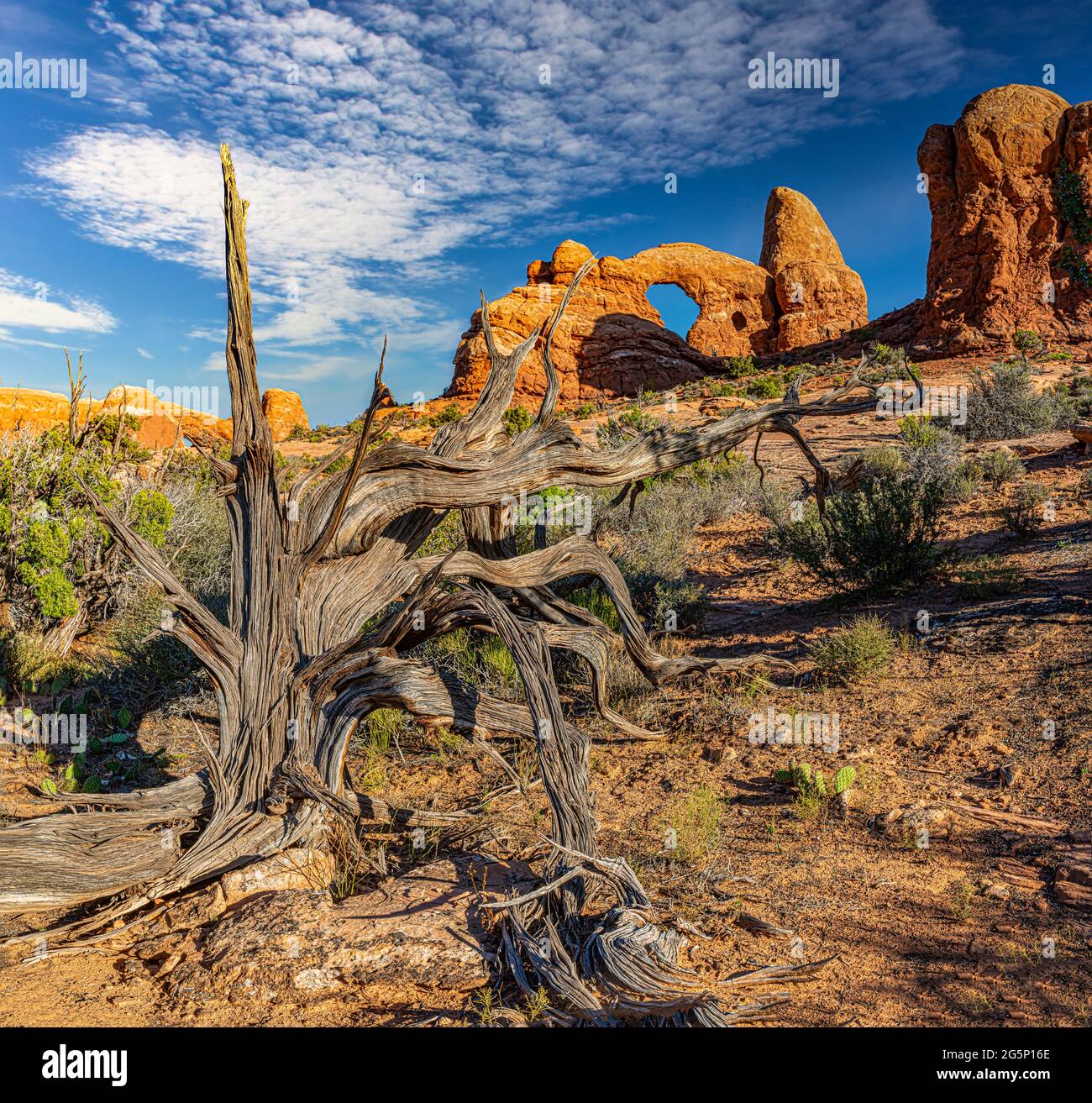 Arches National Park is a national park in eastern Utah, United States ...