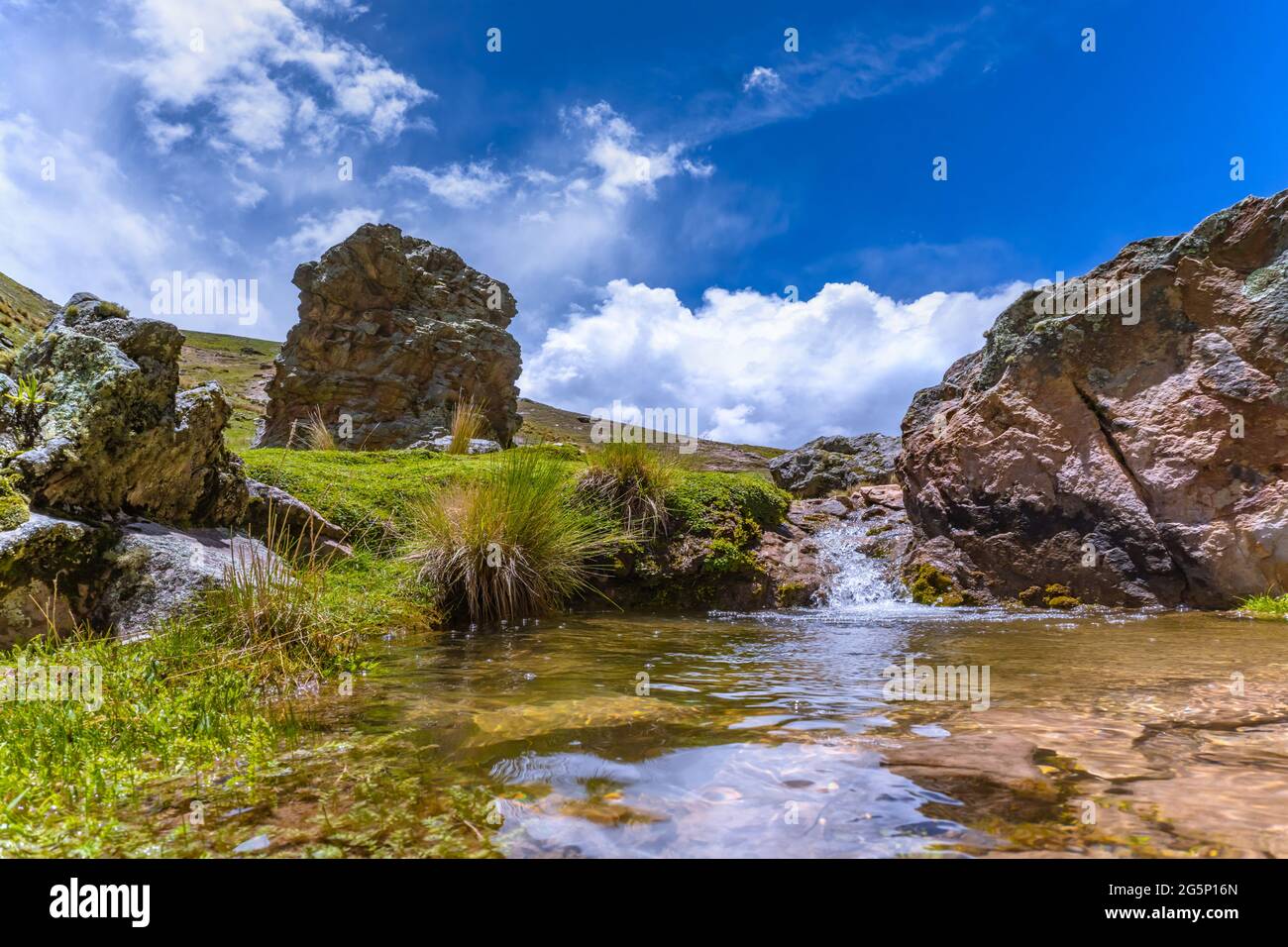 Peru forest fall hi-res stock photography and images - Alamy